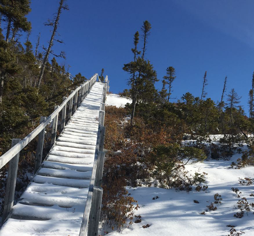 Alexander Murray Trail | Outdoors & On the Go