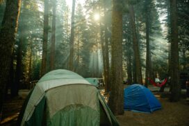 A Locals Guide to Free Camping in Newfoundland | Outdoors & On the Go