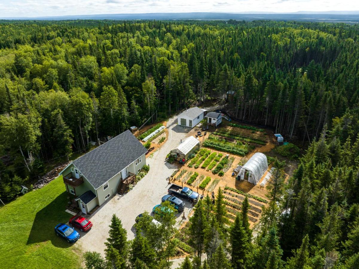 Best Places to Stay in Newfoundland, Canada | Outdoors & On the Go