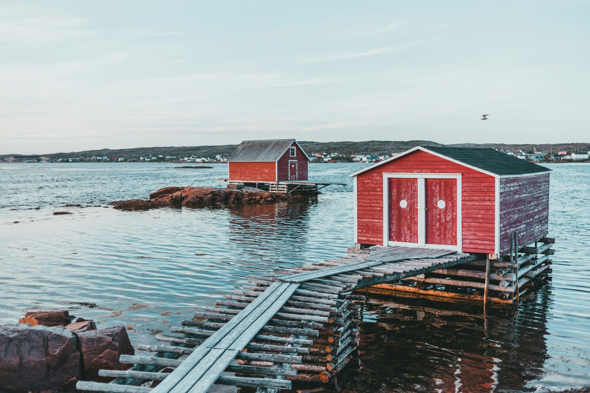 The Ultimate Guide to Getting to Newfoundland | Outdoors & On the Go