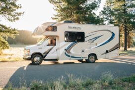 A Locals Guide to Free Camping in Newfoundland | Outdoors & On the Go