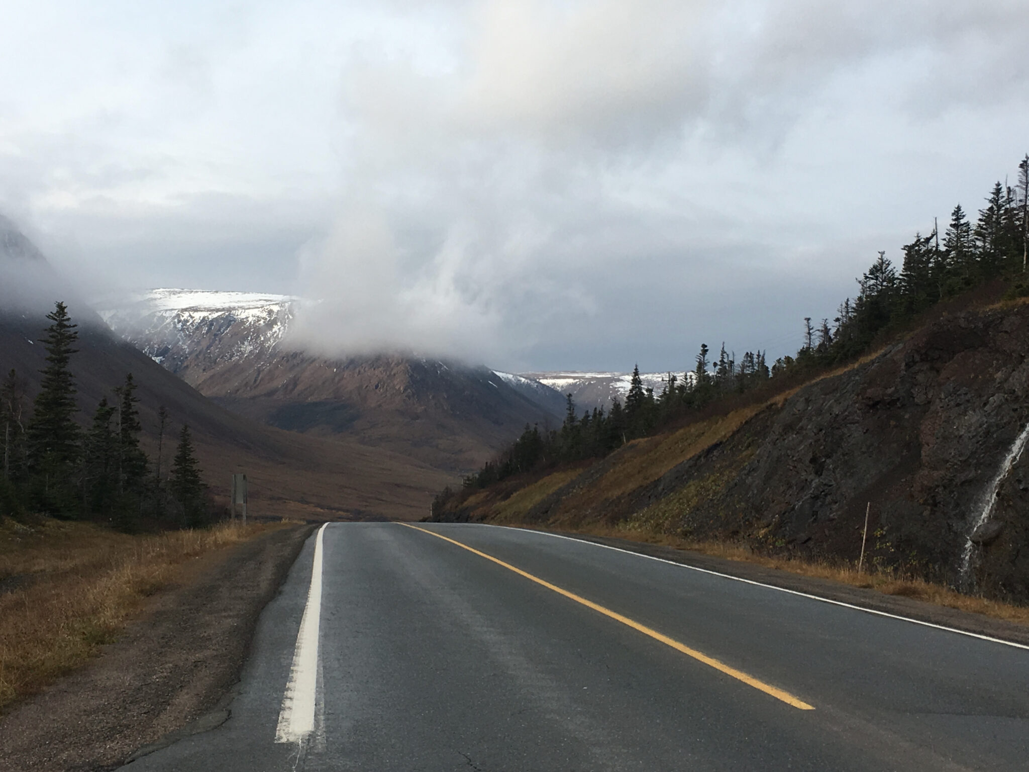 The Ultimate Guide to Getting to Newfoundland | Outdoors & On the Go