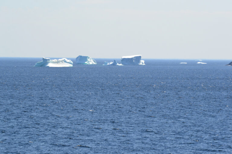 The Ultimate Guide to Newfoundland Iceberg Season | Outdoors & On the Go
