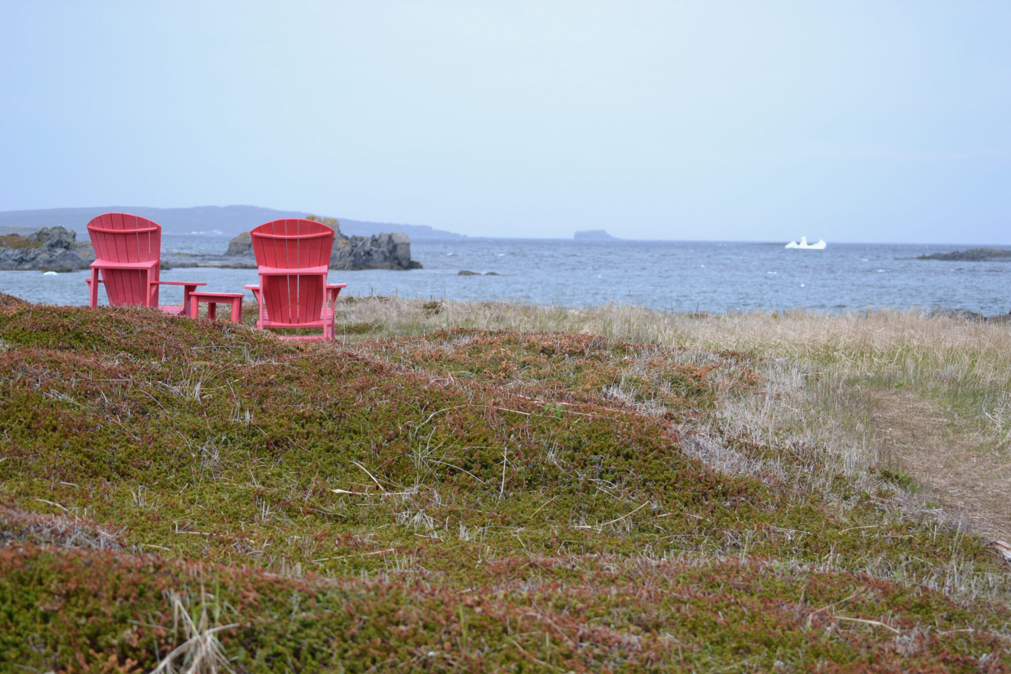 The Ultimate Guide to Newfoundland Iceberg Season | Outdoors & On the Go
